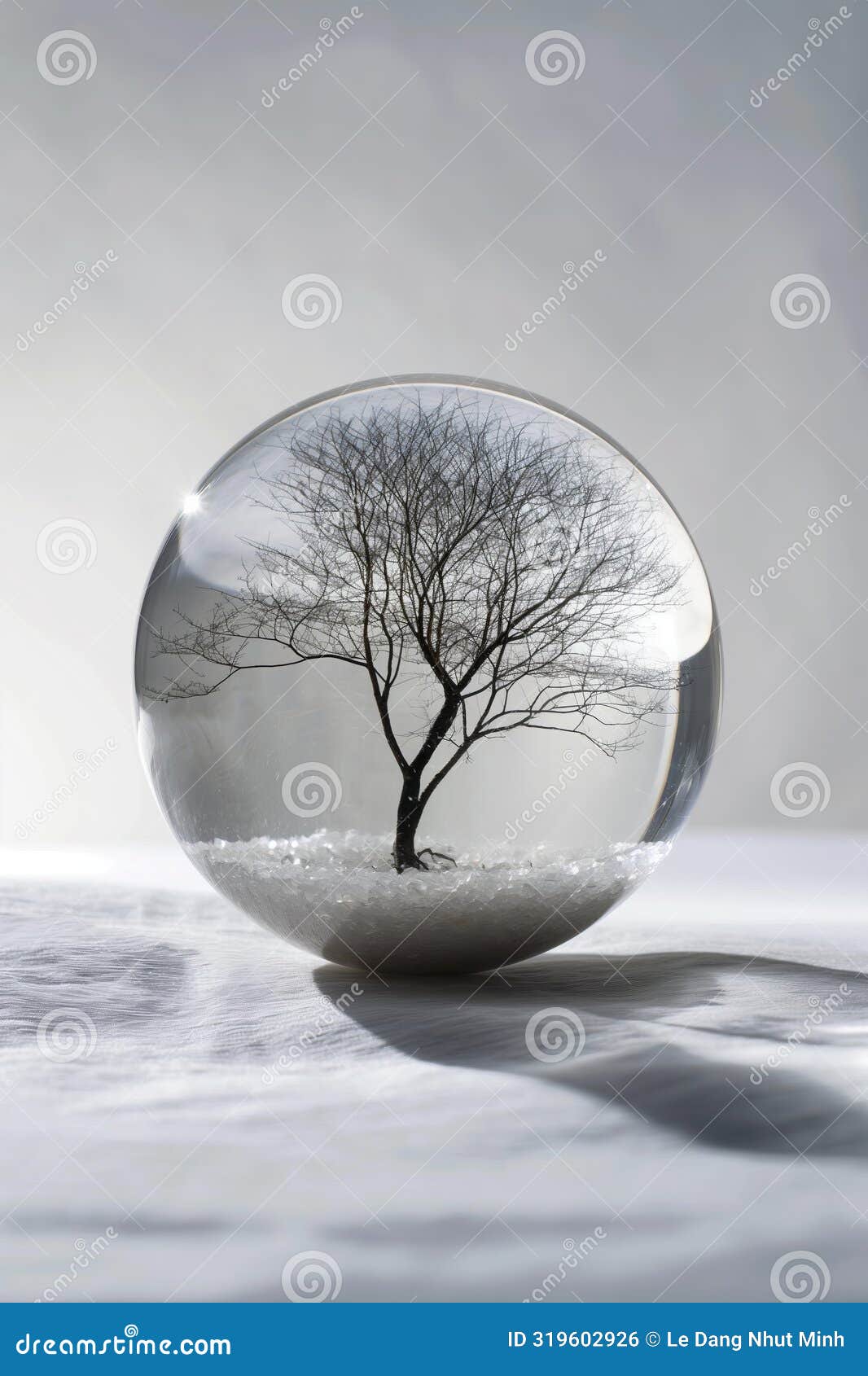 A Glass Sphere with a Tree Inside of it Stock Photo - Image of snowy ...