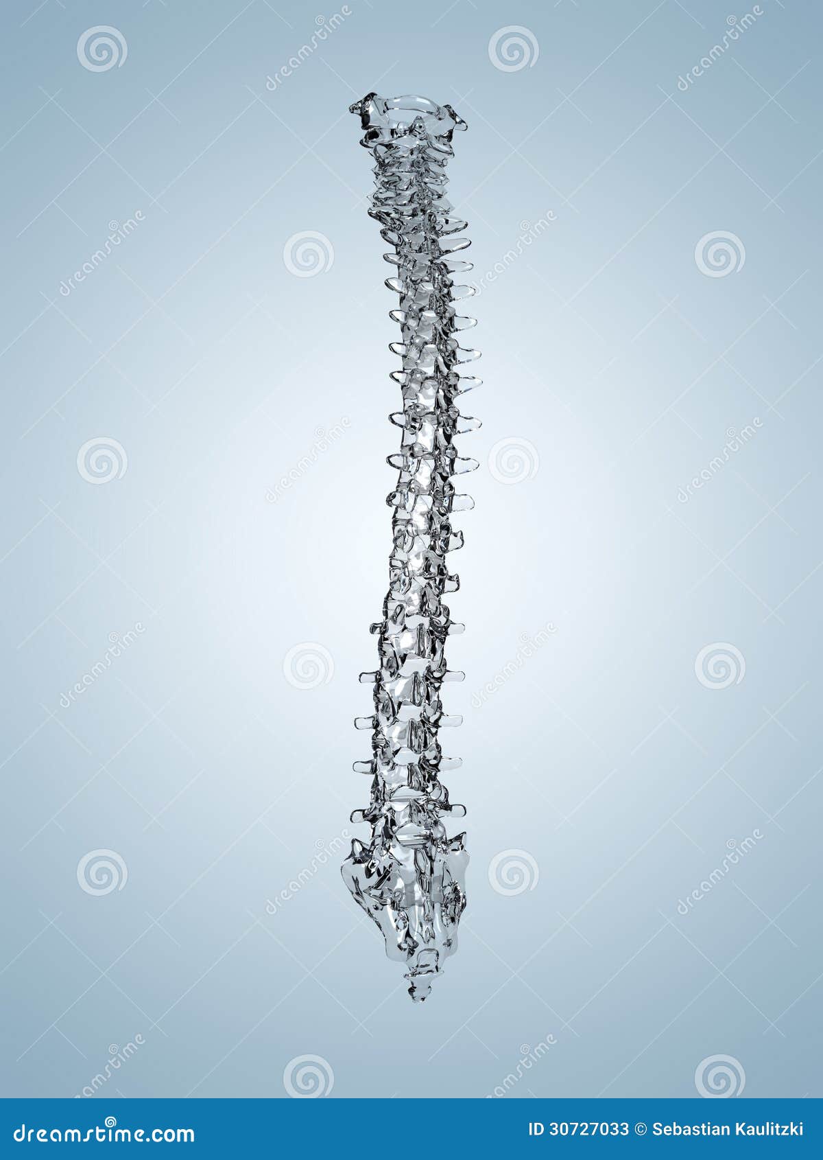 Glass spine stock illustration. Illustration of anatomy - 30727033