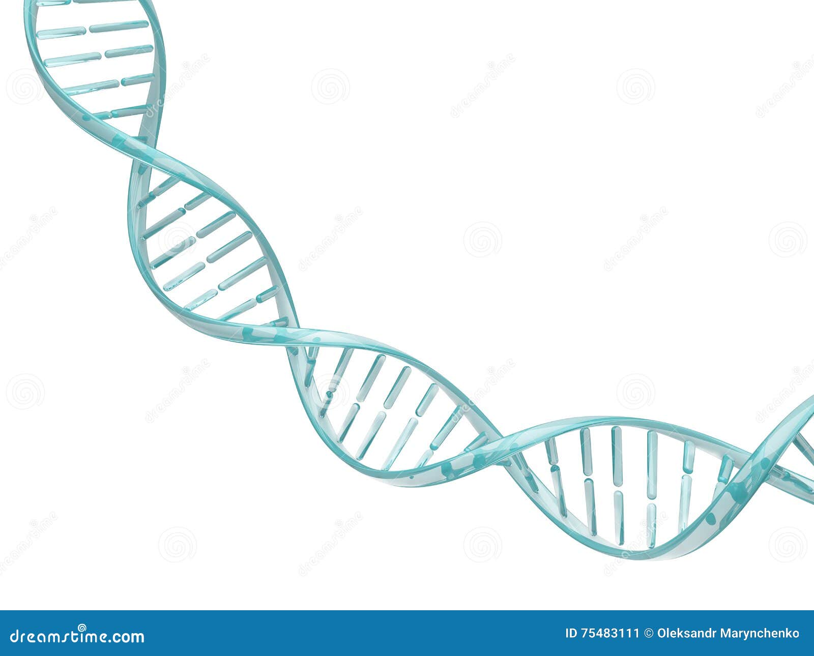 Glass spiral DNA strand. stock illustration. Illustration of design ...