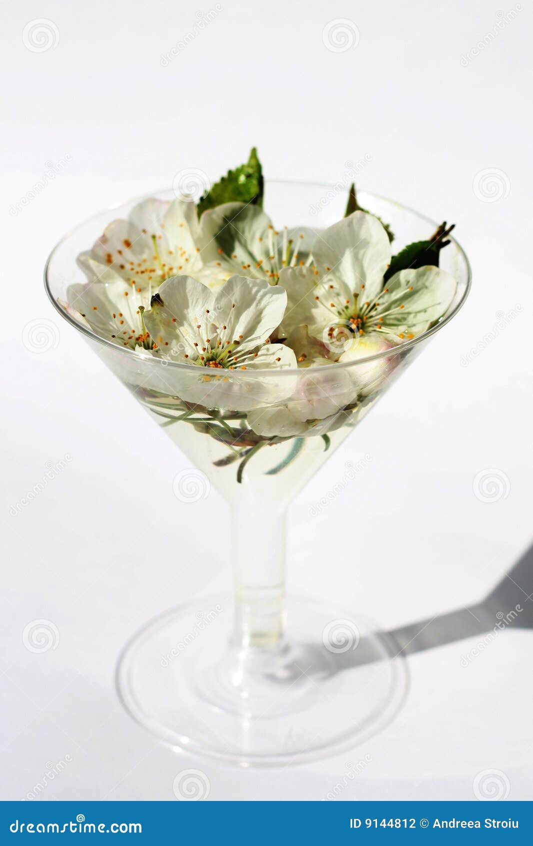 Glass of spring flowers stock photo. Image of glass, spring - 9144812