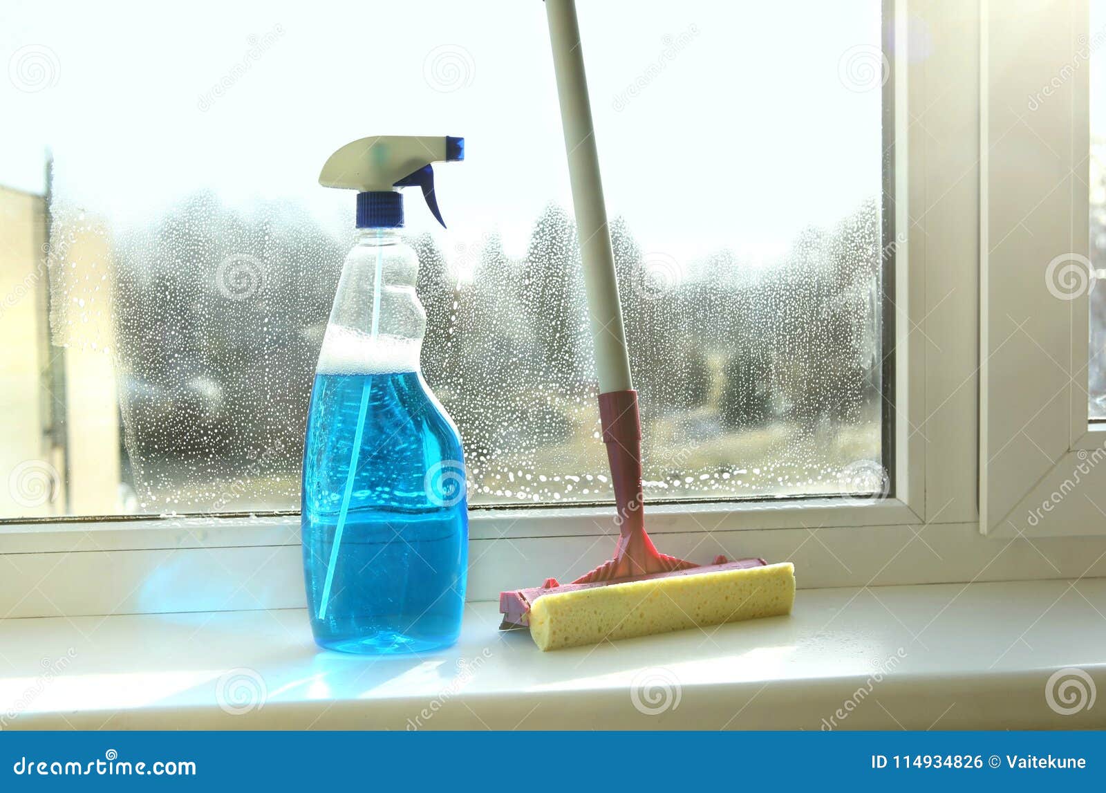 Glass Squeegee and Bottle of Window Cleaner. Stock Photo - Image of ...
