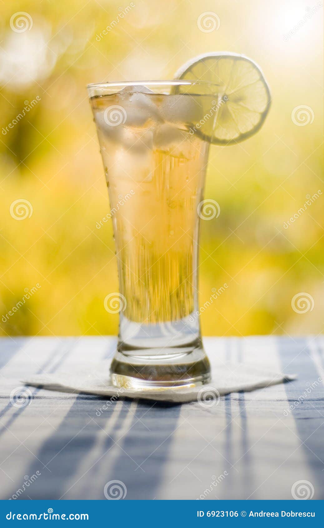 Glass with tea and lemon stock photo. Image of fresh, glass - 6923106