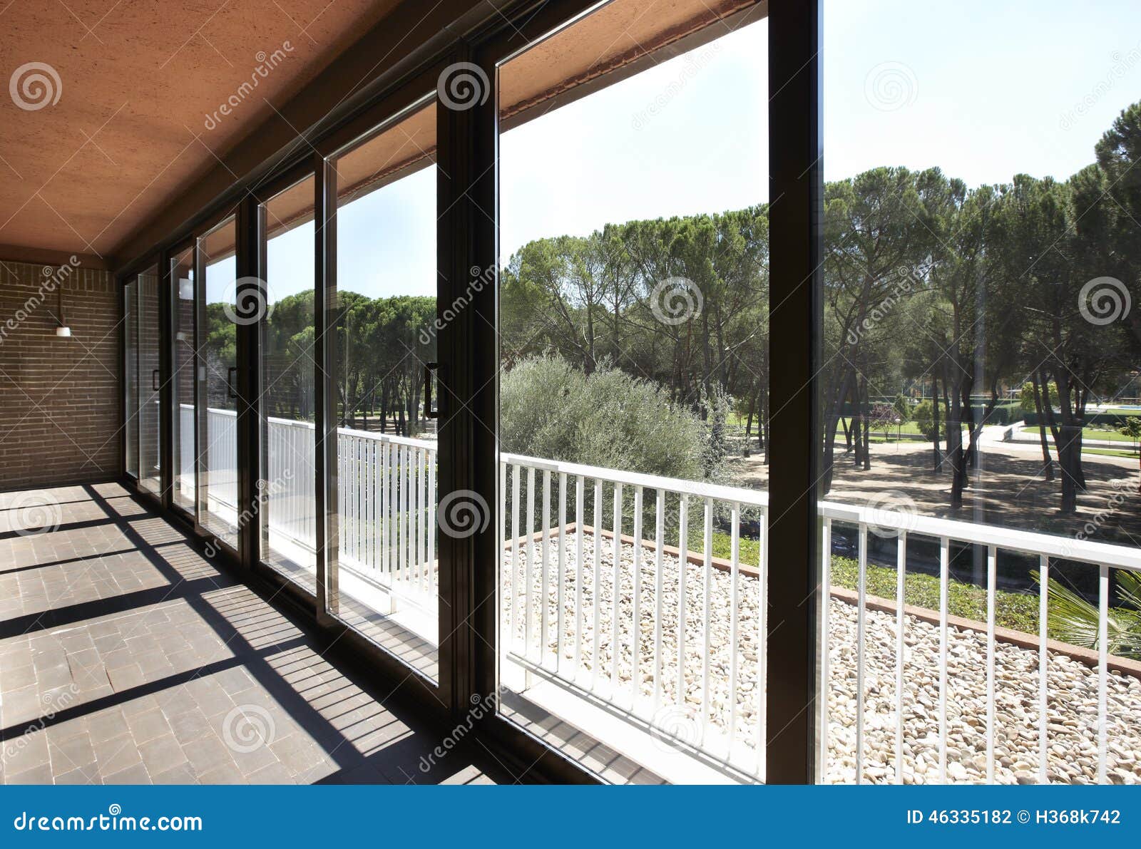 Glass Terrace with a Pine Forest View Stock Photo - Image of rise ...