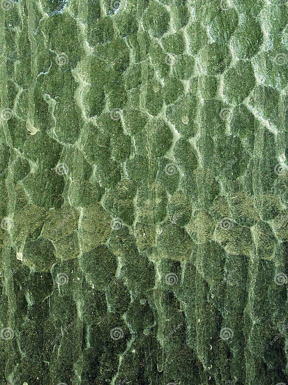 Glass texture: Green stock photo. Image of window, texture - 1053460