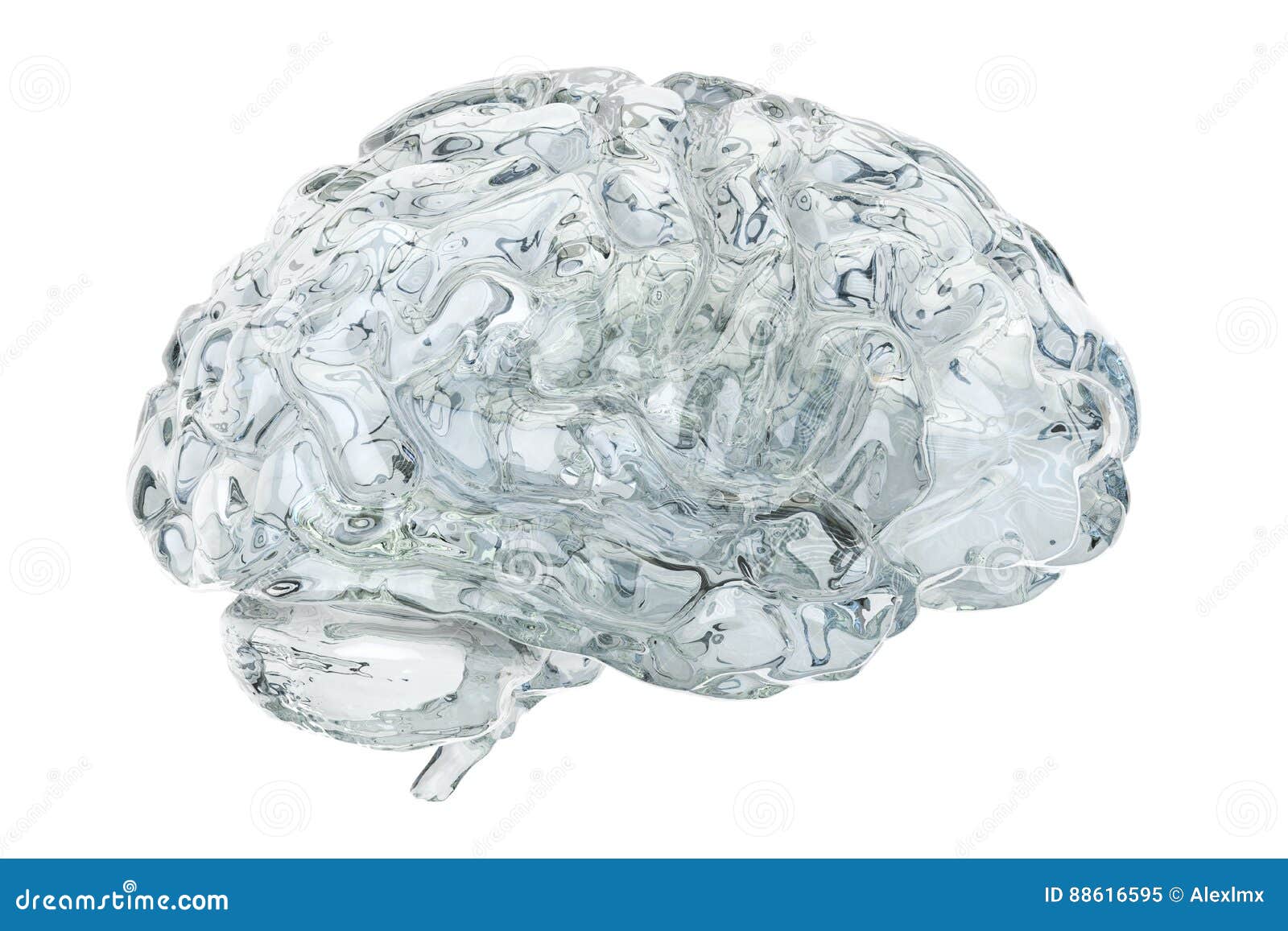 A Transparent Brain That Calculates Artificial Intelligence Created ...