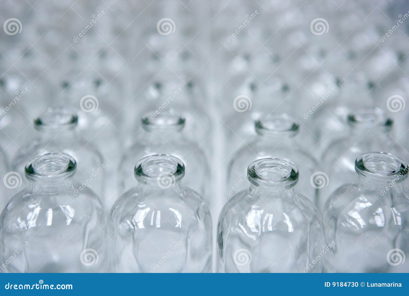 Transparent Six-line Blue Butterfly Stock Photo | CartoonDealer.com ...