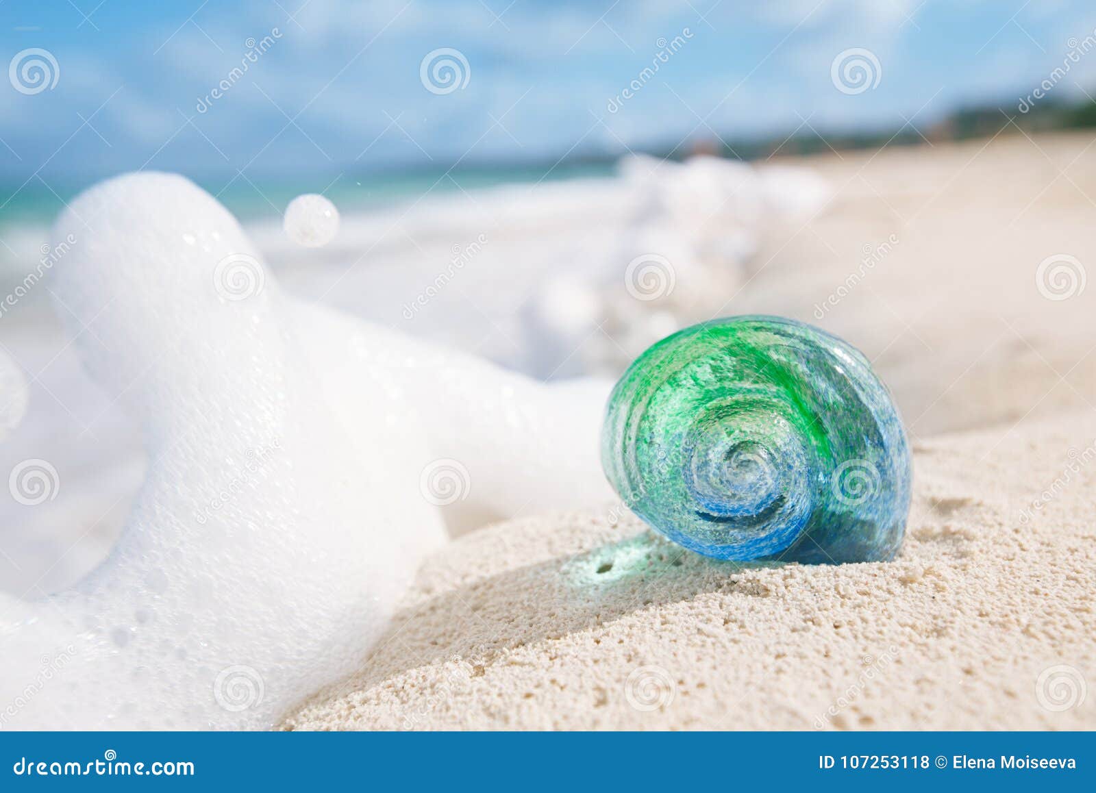 Glass Tropical Sea Shell with Waves Under Sun Light Stock Photo - Image ...