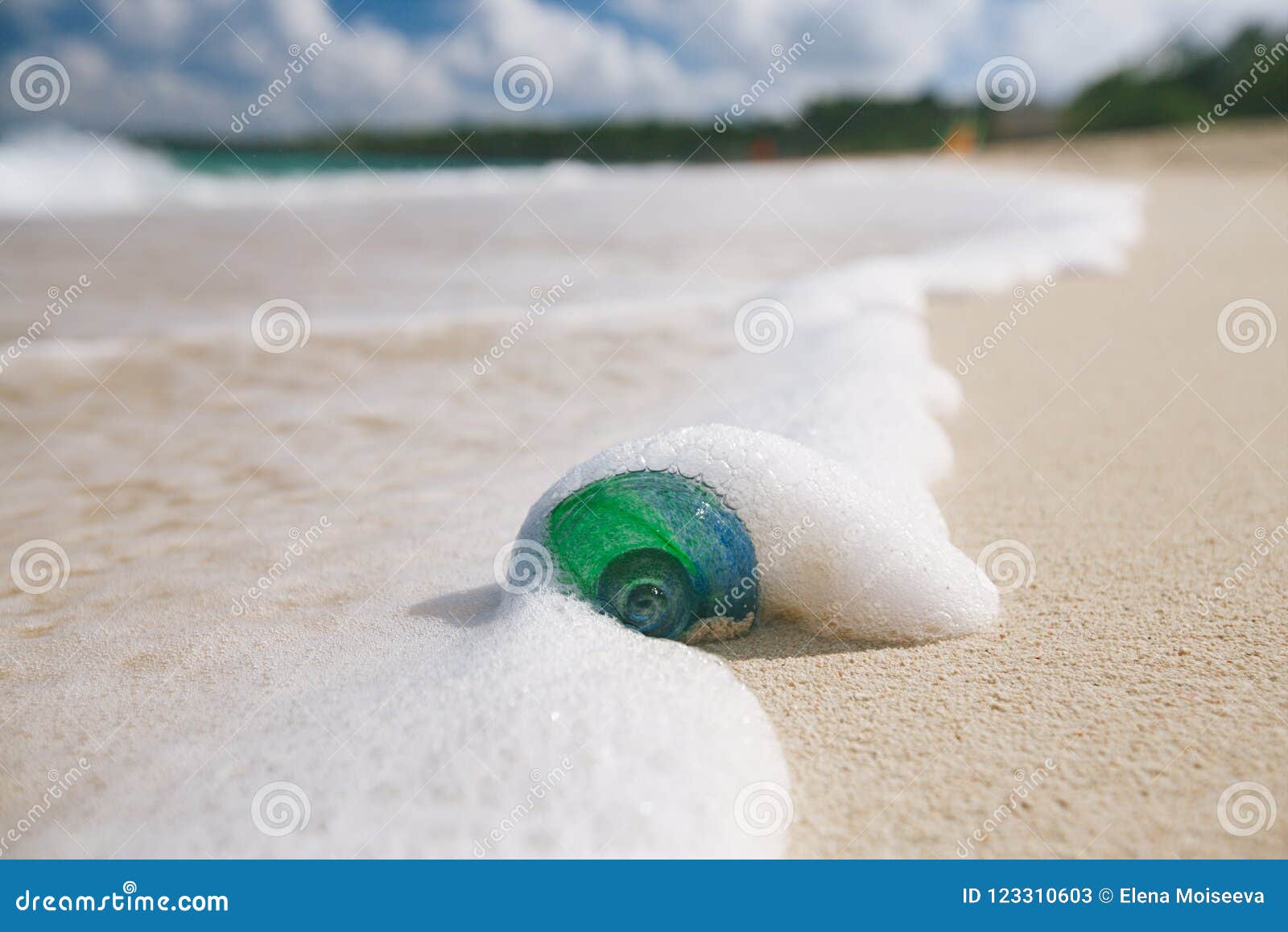 Glass Tropical Sea Shell with Waves Under Sun Light Stock Image - Image ...
