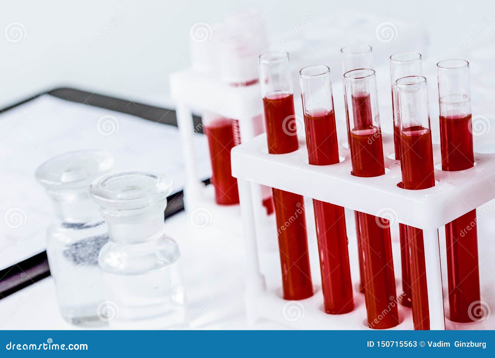 Glass Tubes with Blood Sample in Stand No One Stock Image - Image of ...