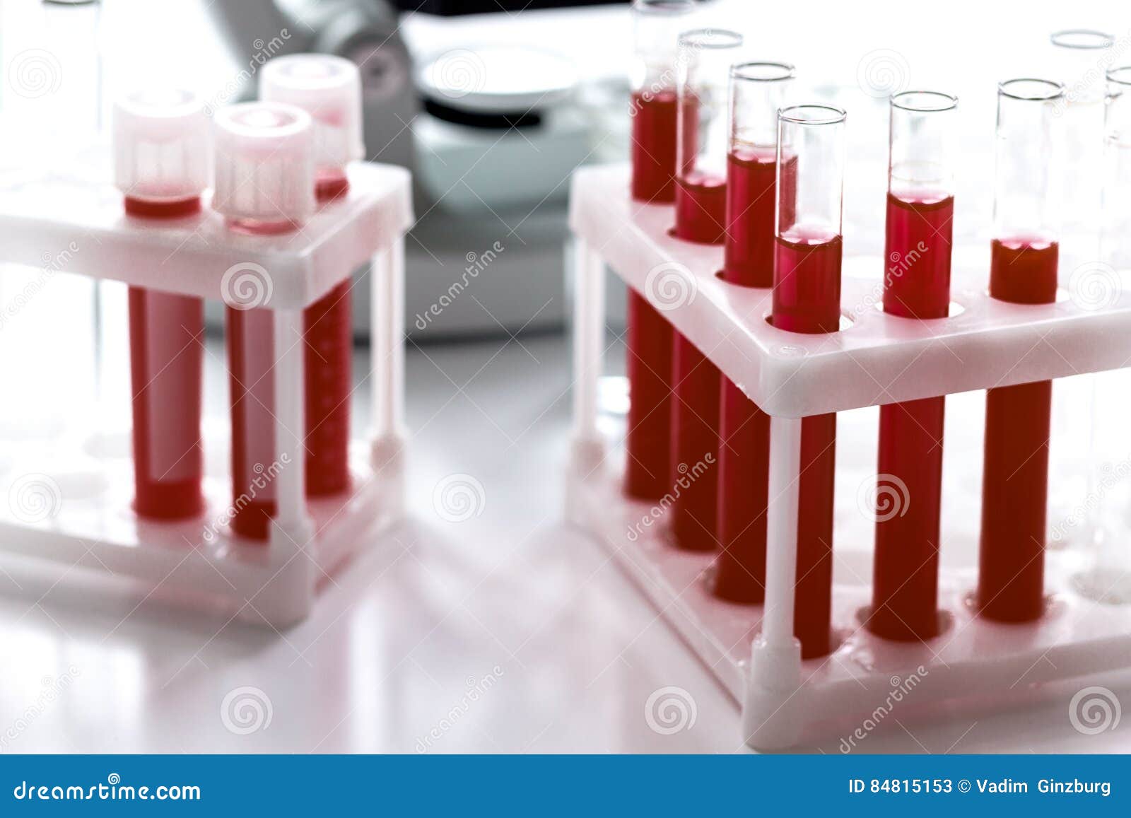 Glass Tubes with Blood Sample in Stand No One Stock Image - Image of ...