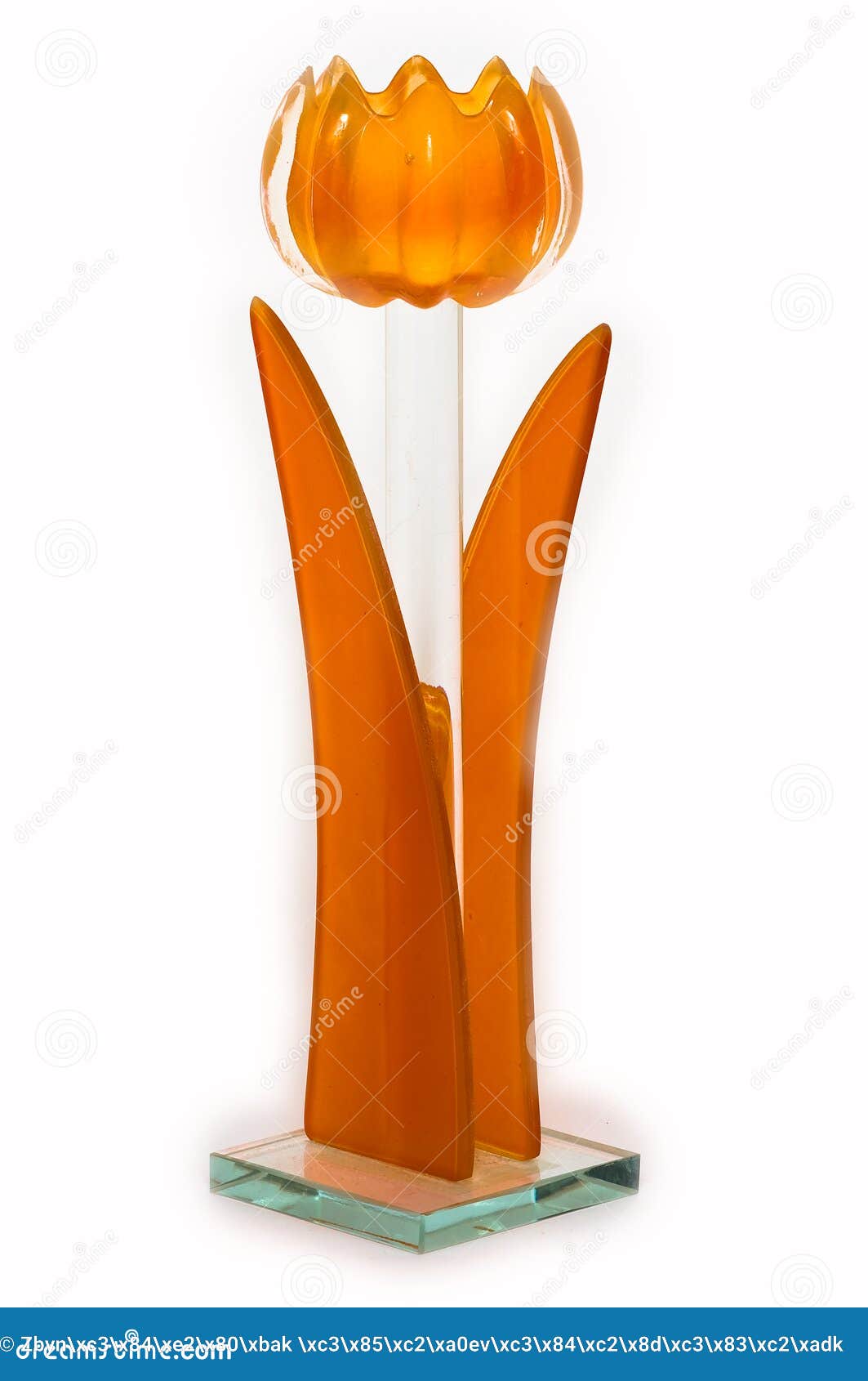 Glass Tulip. stock photo. Image of vegetable, candlestick - 39321844