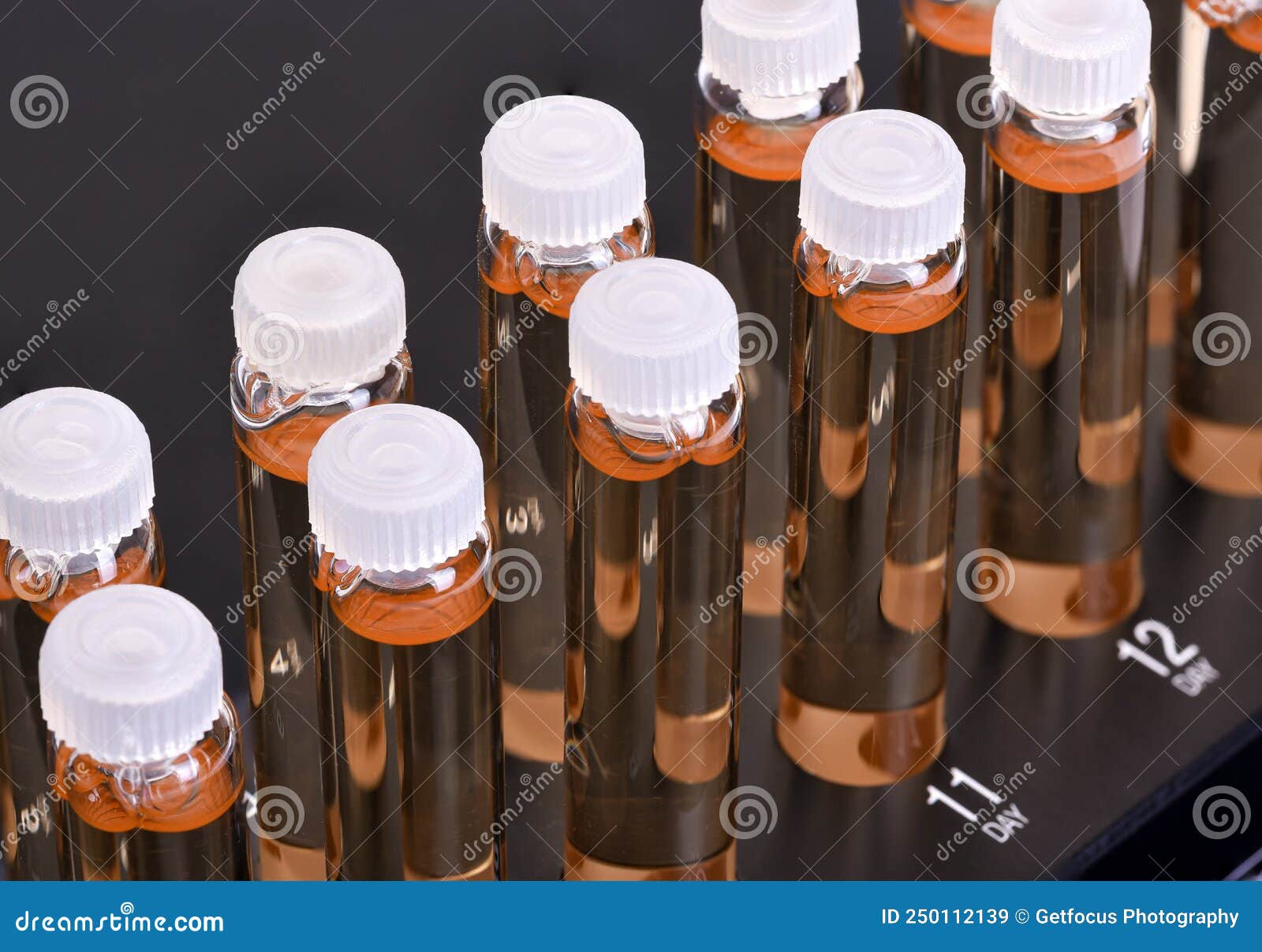Vials on plate stock image. Image of chromatography - 250112139