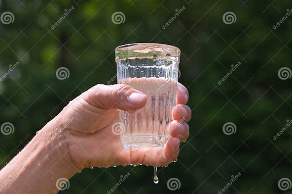 Glass of water. stock photo. Image of food, healthy, hand - 32293876