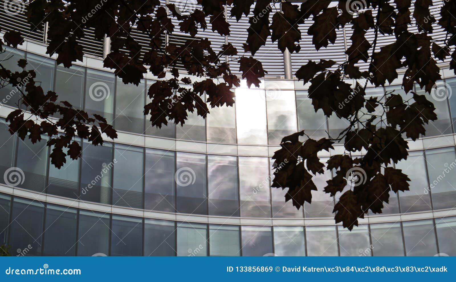 Glass Window Reflection of Shining Sun with Autumn Fall Trees and ...