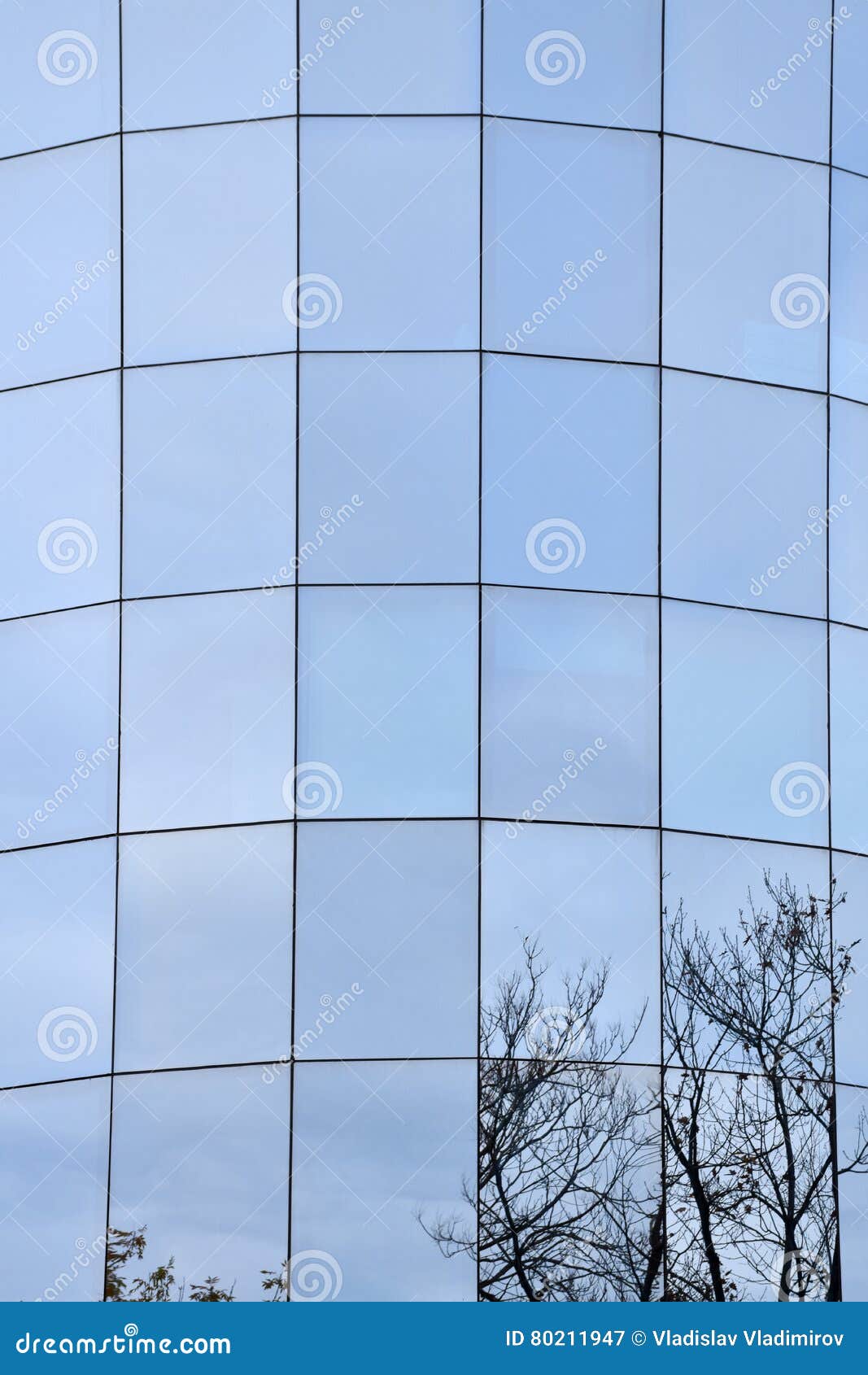 Glass Windows Facade of an Office Building Reflecting Trees Stock Image ...