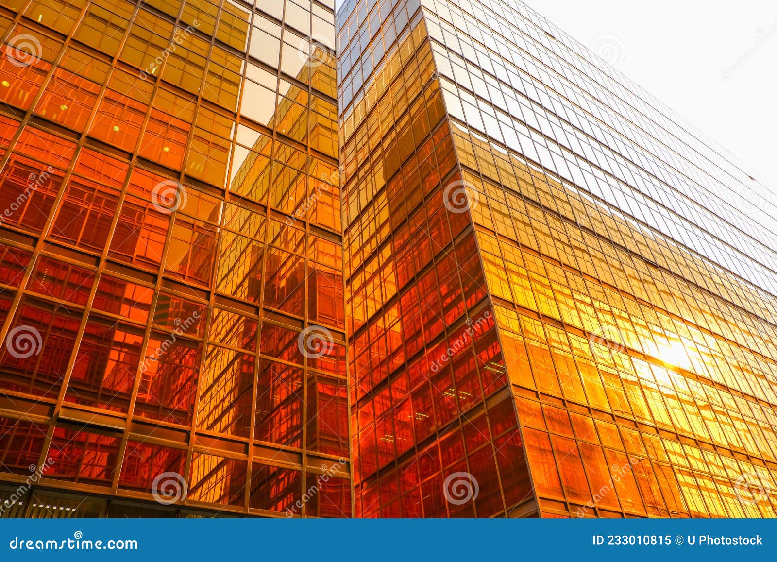 Glass Windows Wall of Highrise Building Stock Image - Image of high ...