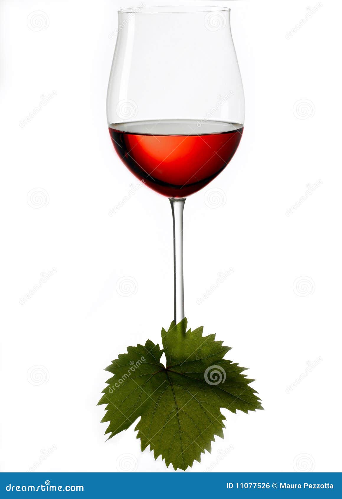 Glass of wine stock photo. Image of ecology, glass, beverages - 11077526