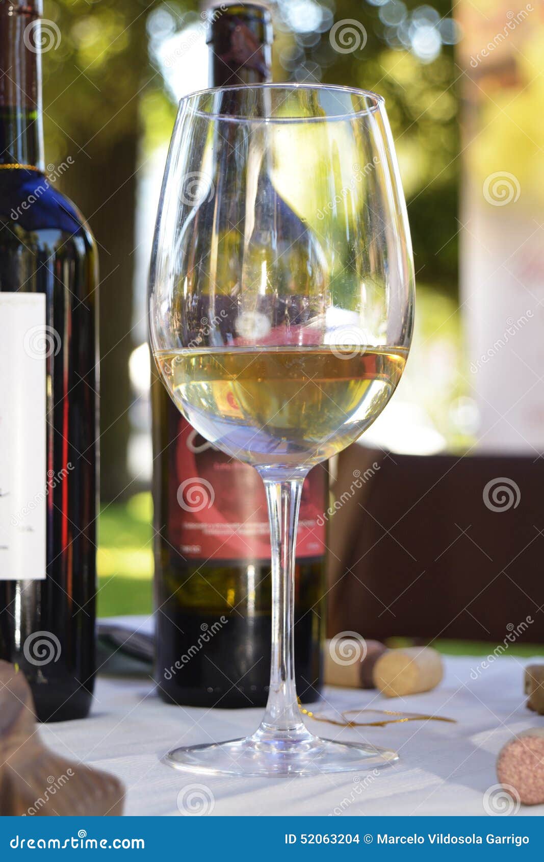 Glass with wine stock photo. Image of white, liquid, riesling - 52063204