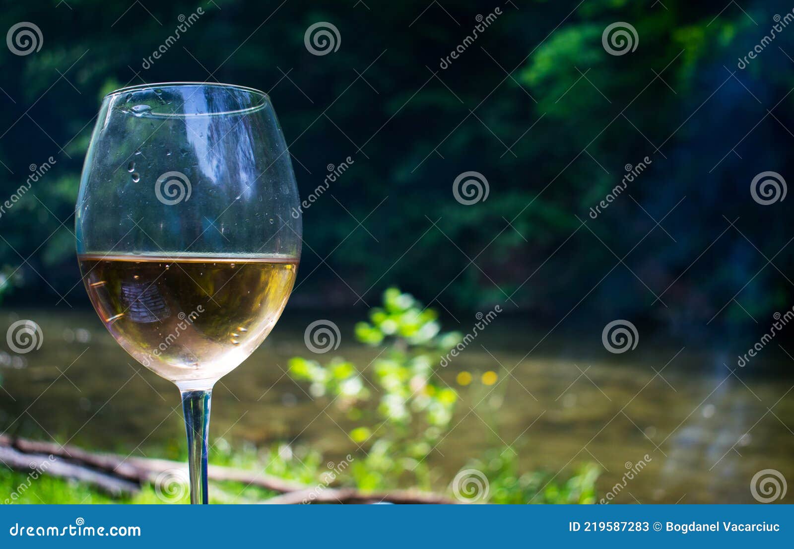 Glass of Wine in Nature. Relax in Nature Stock Image - Image of nature ...