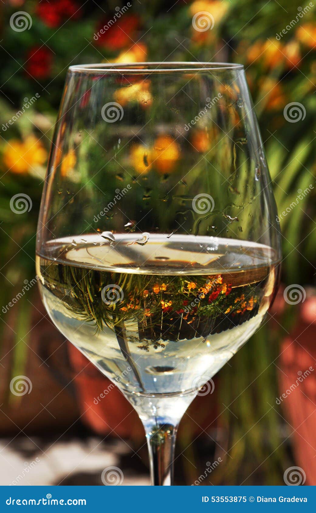 A Glass of Wine with Reflection Stock Image - Image of reflection, wine ...