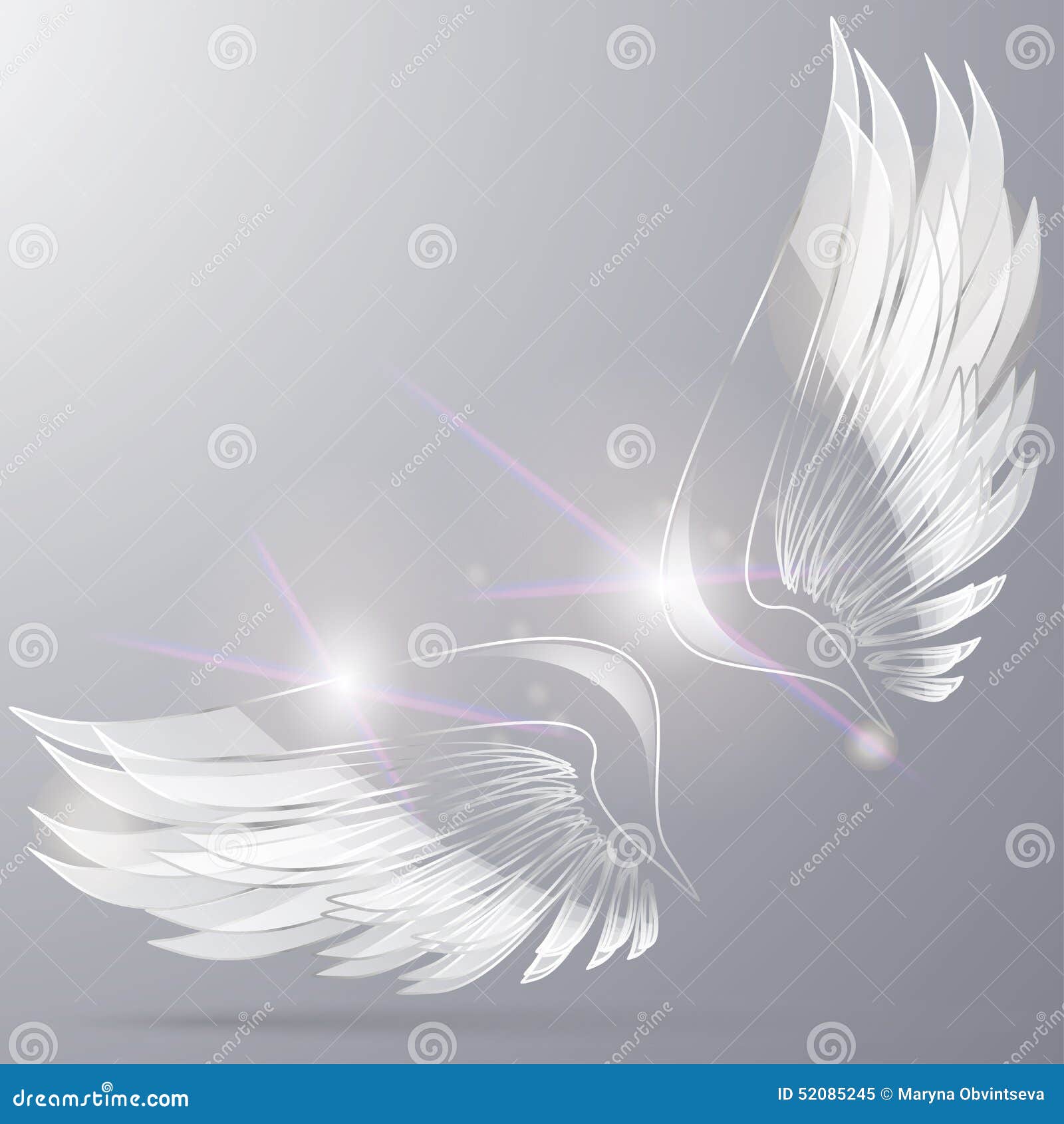 Glass Wings stock vector. Illustration of light, clean - 52085245