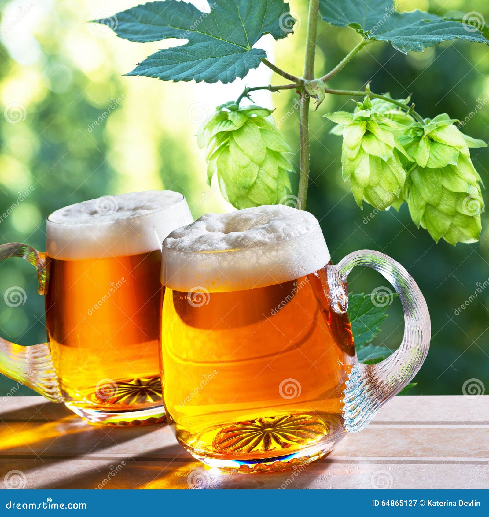 Glasses of beer with hops stock image. Image of garden - 64865127