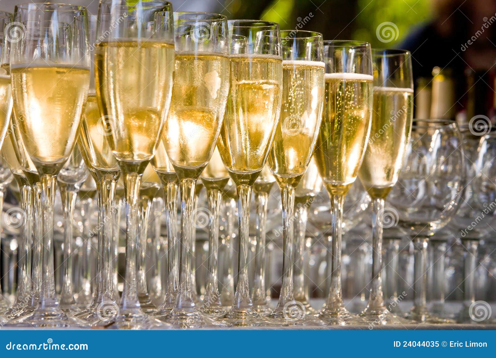 Glasses of champagne stock image. Image of wine, glass - 24044035