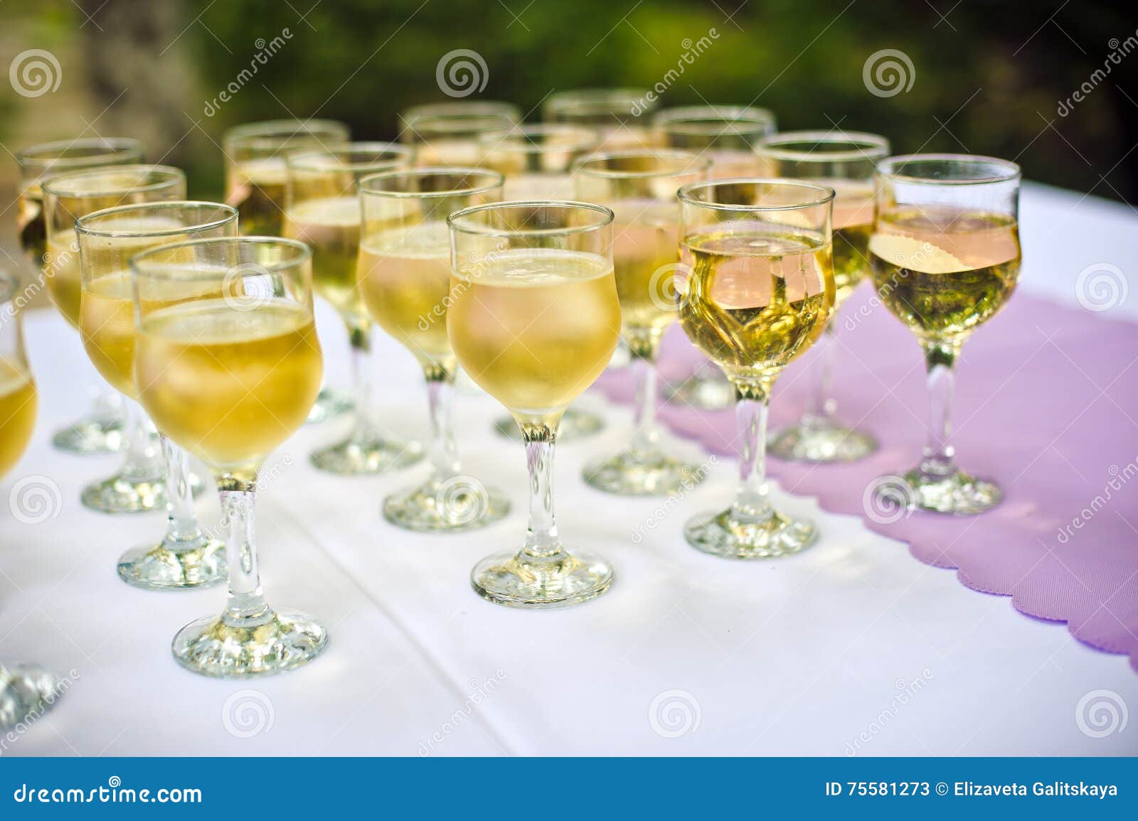 Glasses with Champagne for the Guests Stock Image - Image of guest ...