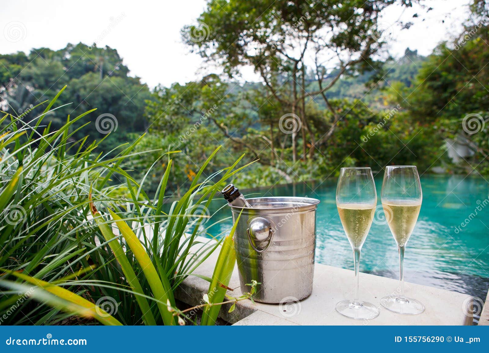Glasses of Champagne Near Pool Stock Photo - Image of exotic, picnic ...