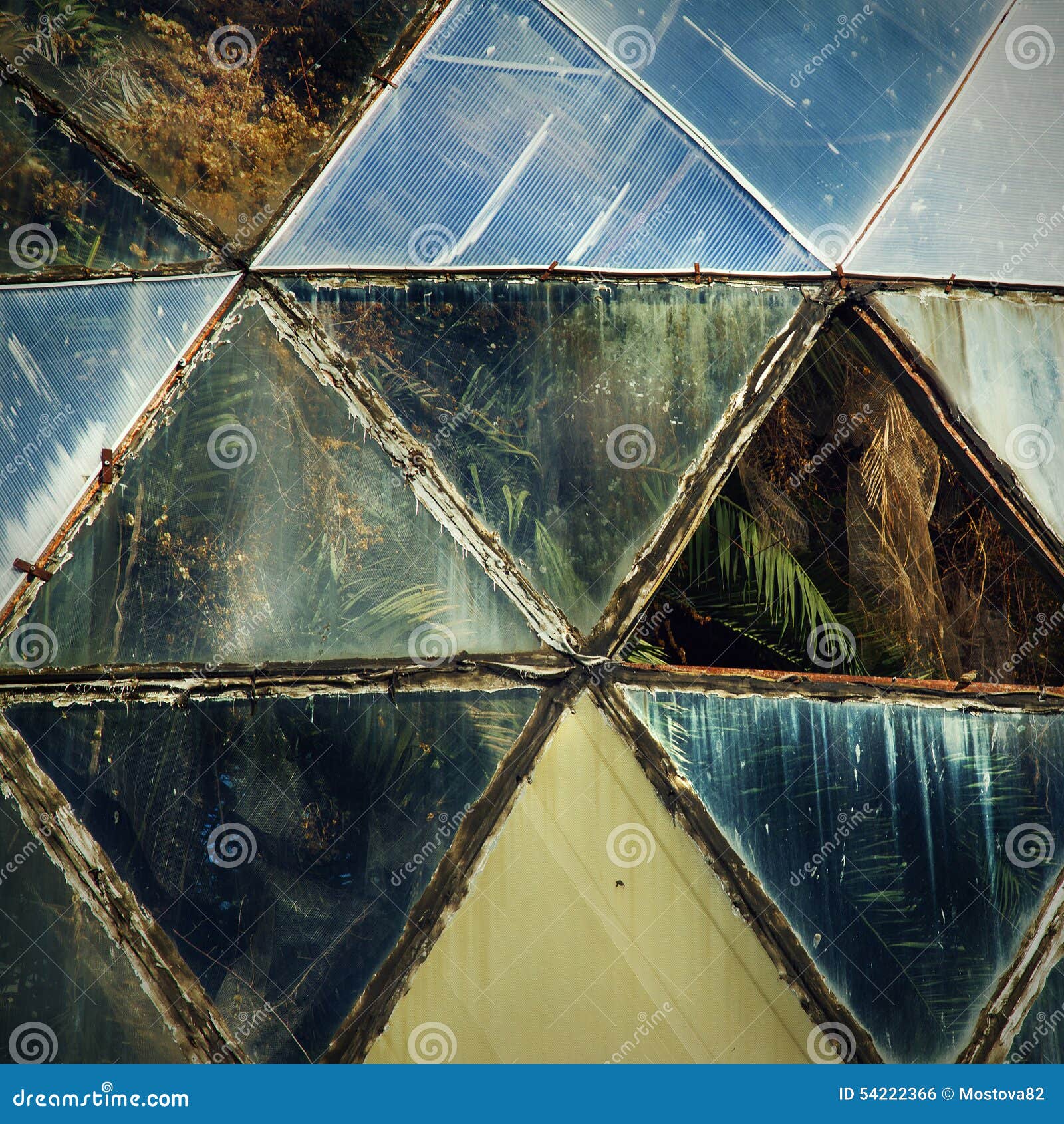 140 Conservatory Backgrounds Stock Photos - Free & Royalty-Free Stock ...