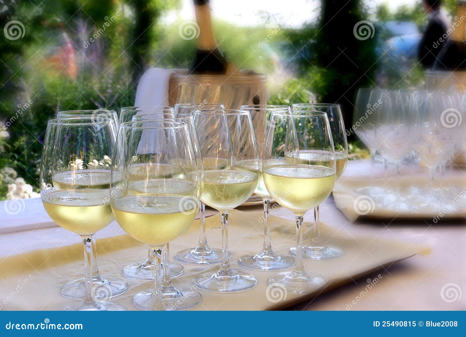 Glasses of prosecco wine stock image. Image of glasse - 25490815