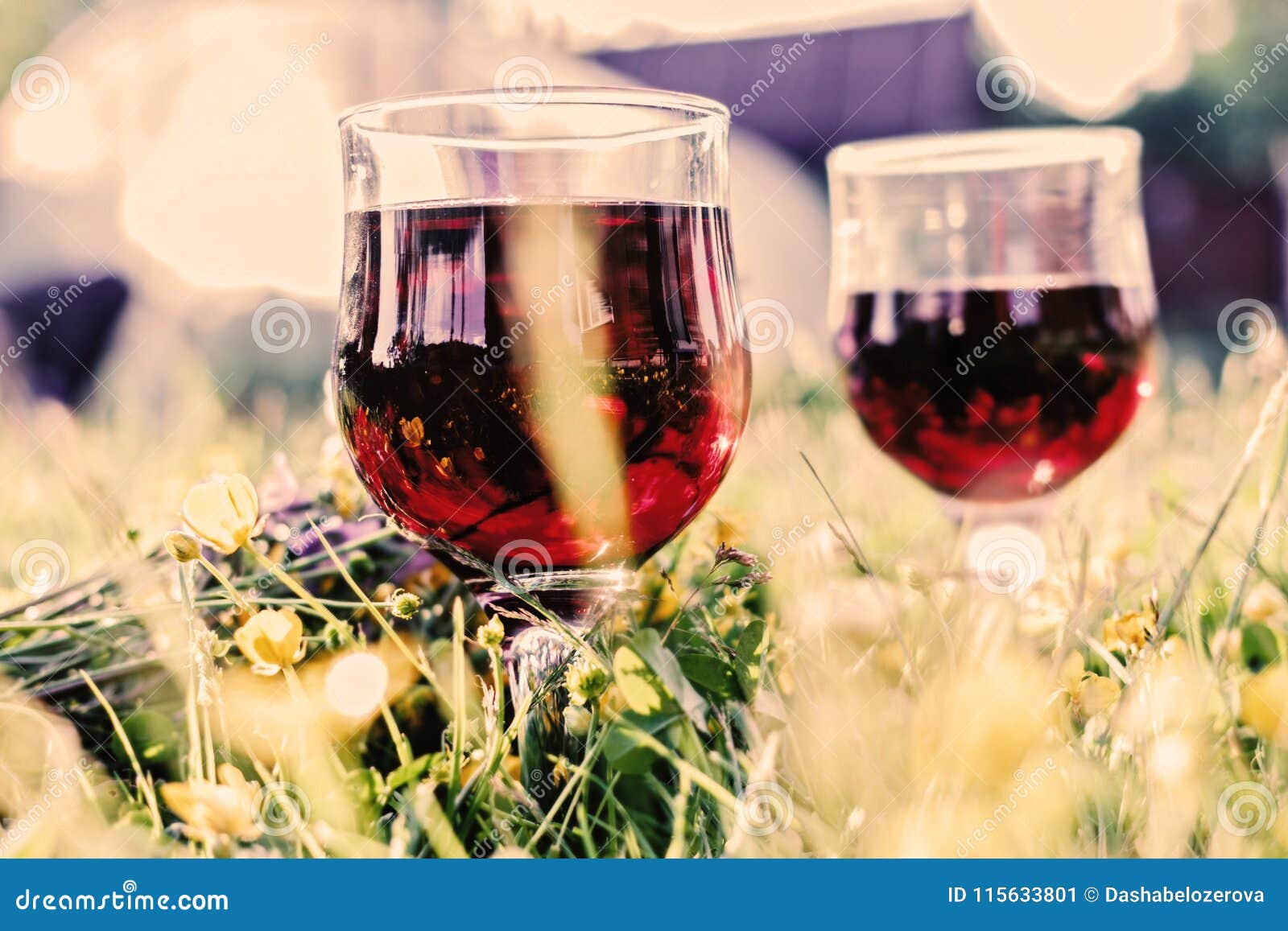 Glasses with Red Wine in Grass Stock Image - Image of fashion, outdoor ...