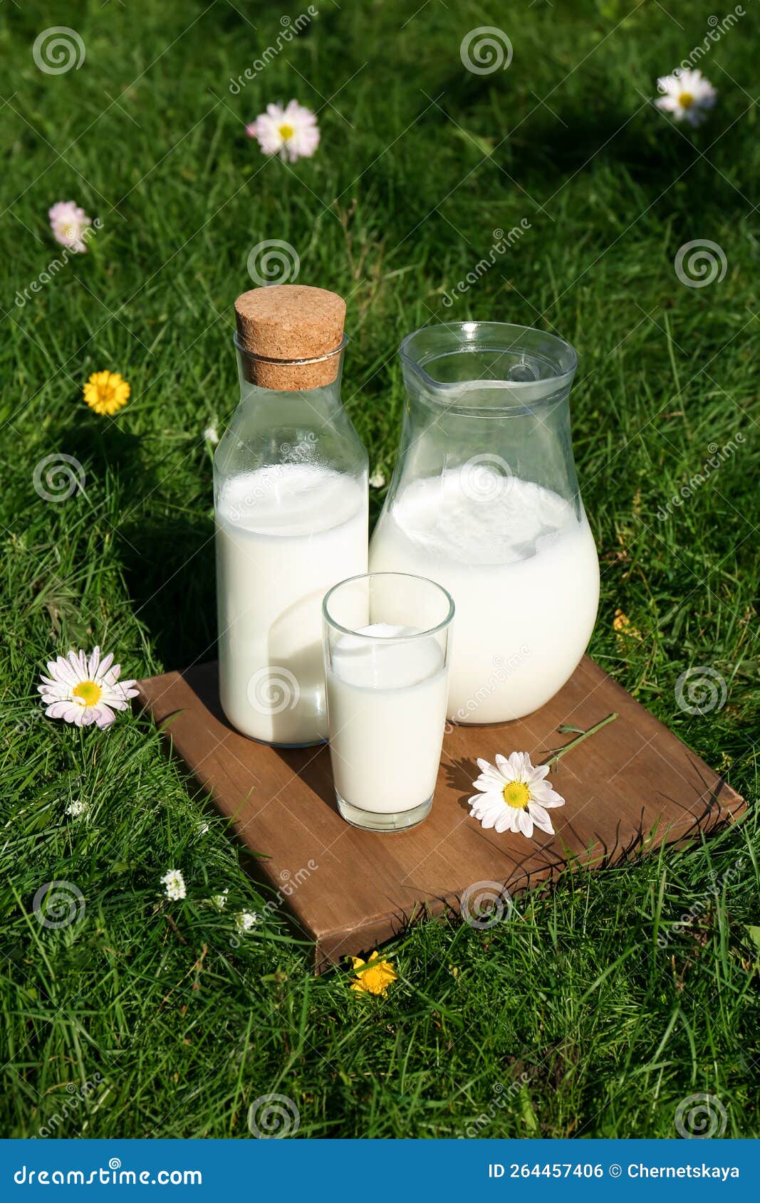 Glassware with Fresh Milk on Green Grass Outdoors Stock Photo - Image ...