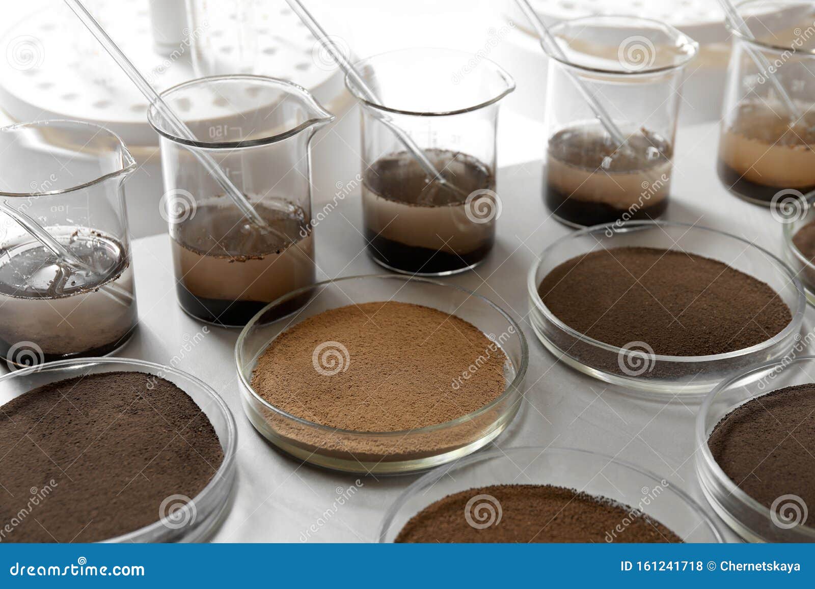 Glassware with Soil Samples and Extracts. Laboratory Research Stock ...