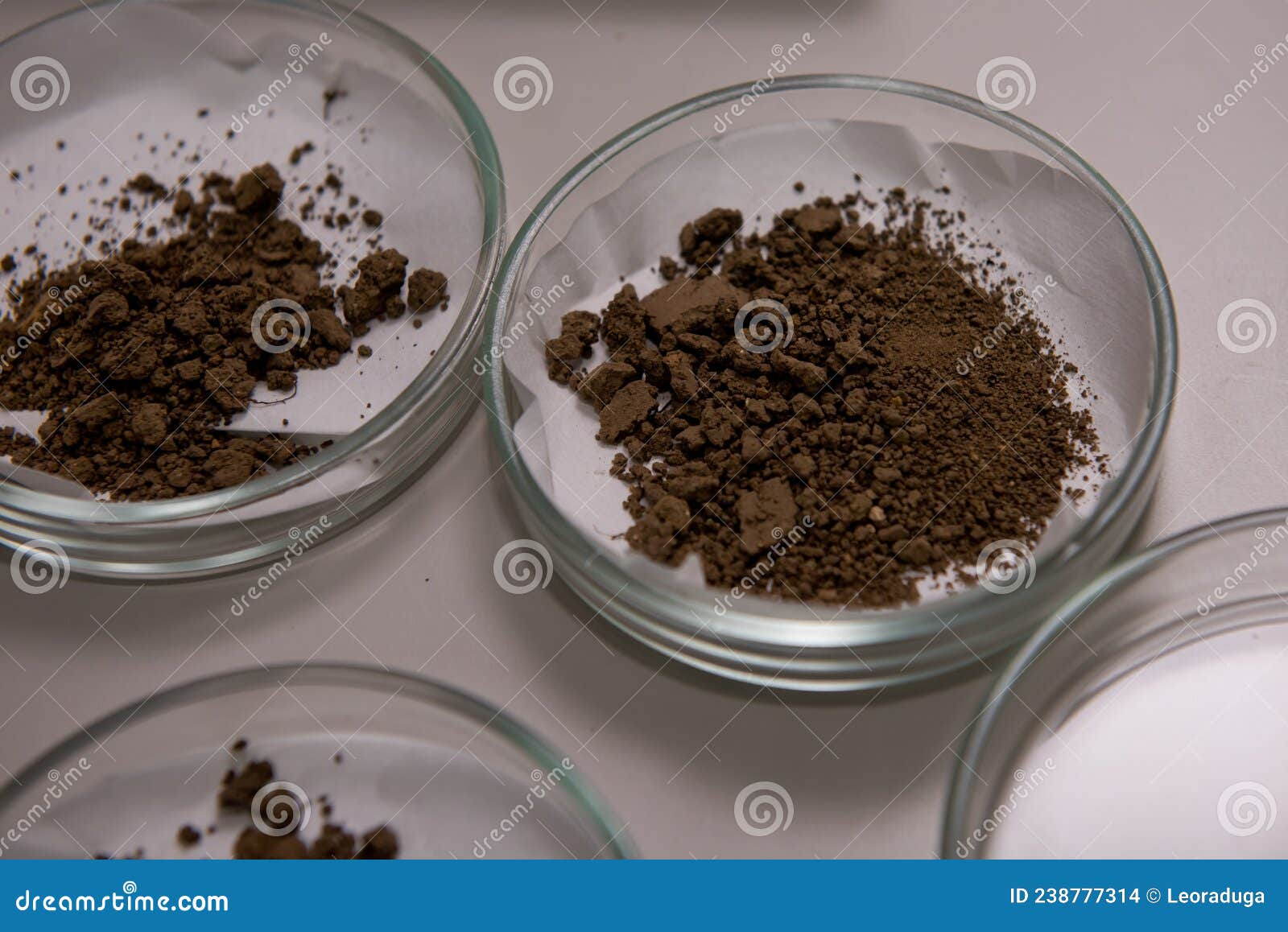 Glassware with Soil Samples. Laboratory Research Stock Photo - Image of ...