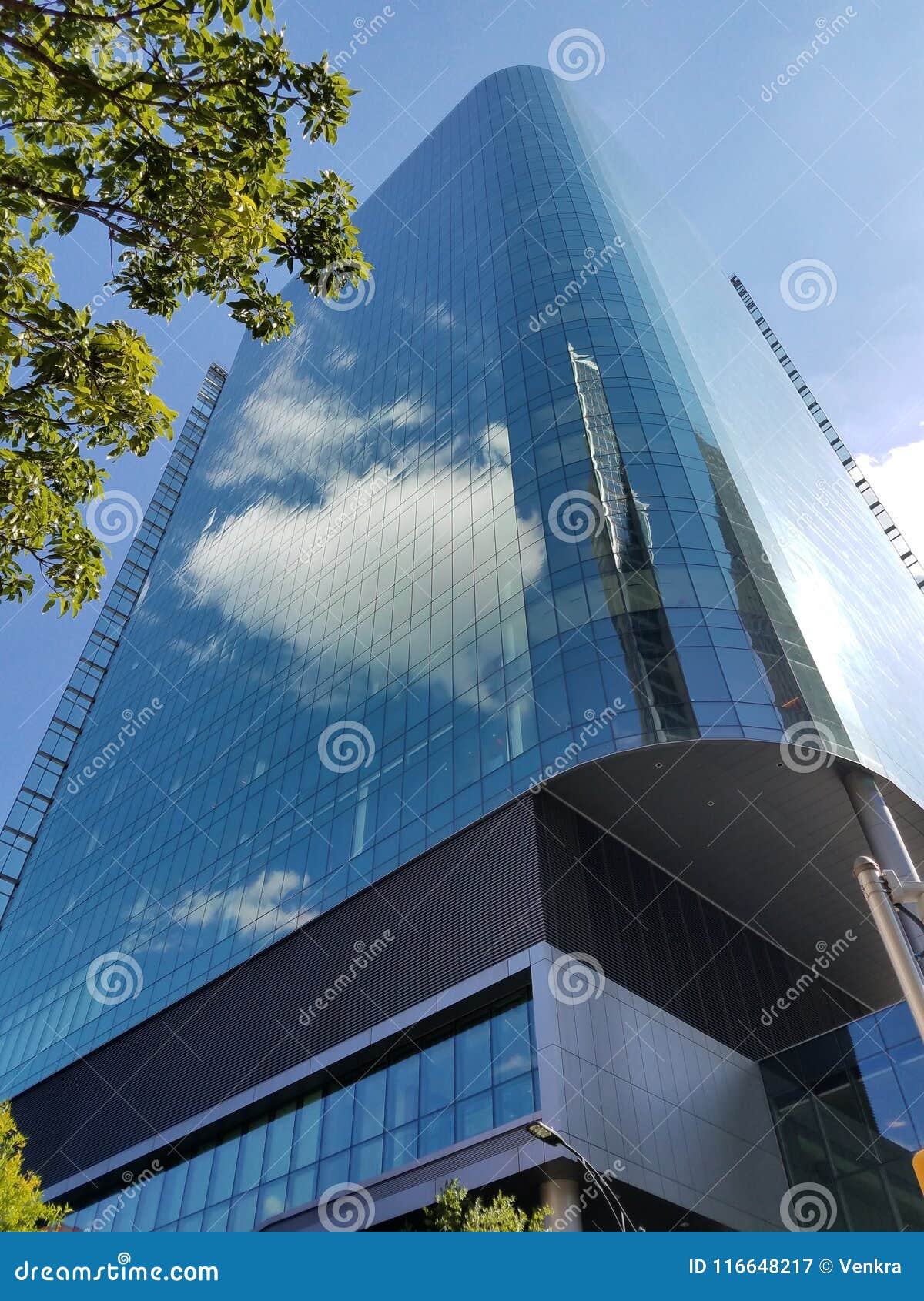 Glassy Skyscraper stock image. Image of glassy, reflection - 116648217