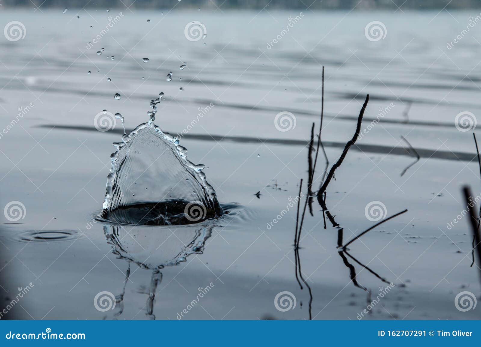Glassy water drop 12 stock image. Image of river, reflection - 162707291