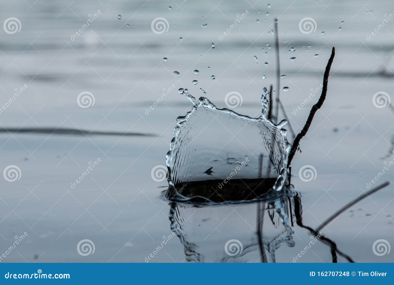 Glassy water drop 18 stock photo. Image of plant, landscape - 162707248