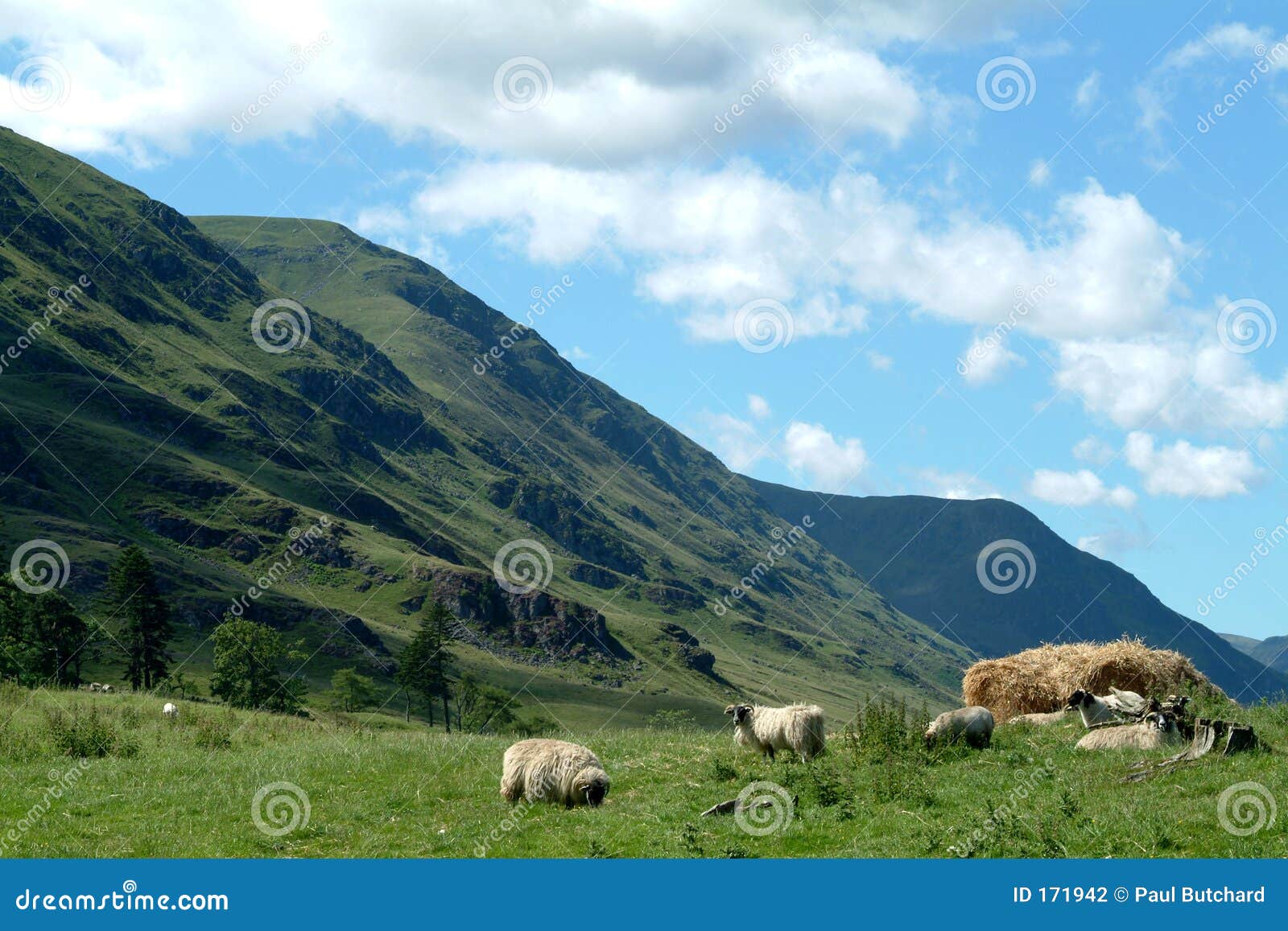 Glen Clova, Scotland stock photo. Image of britain, sunlight - 171942