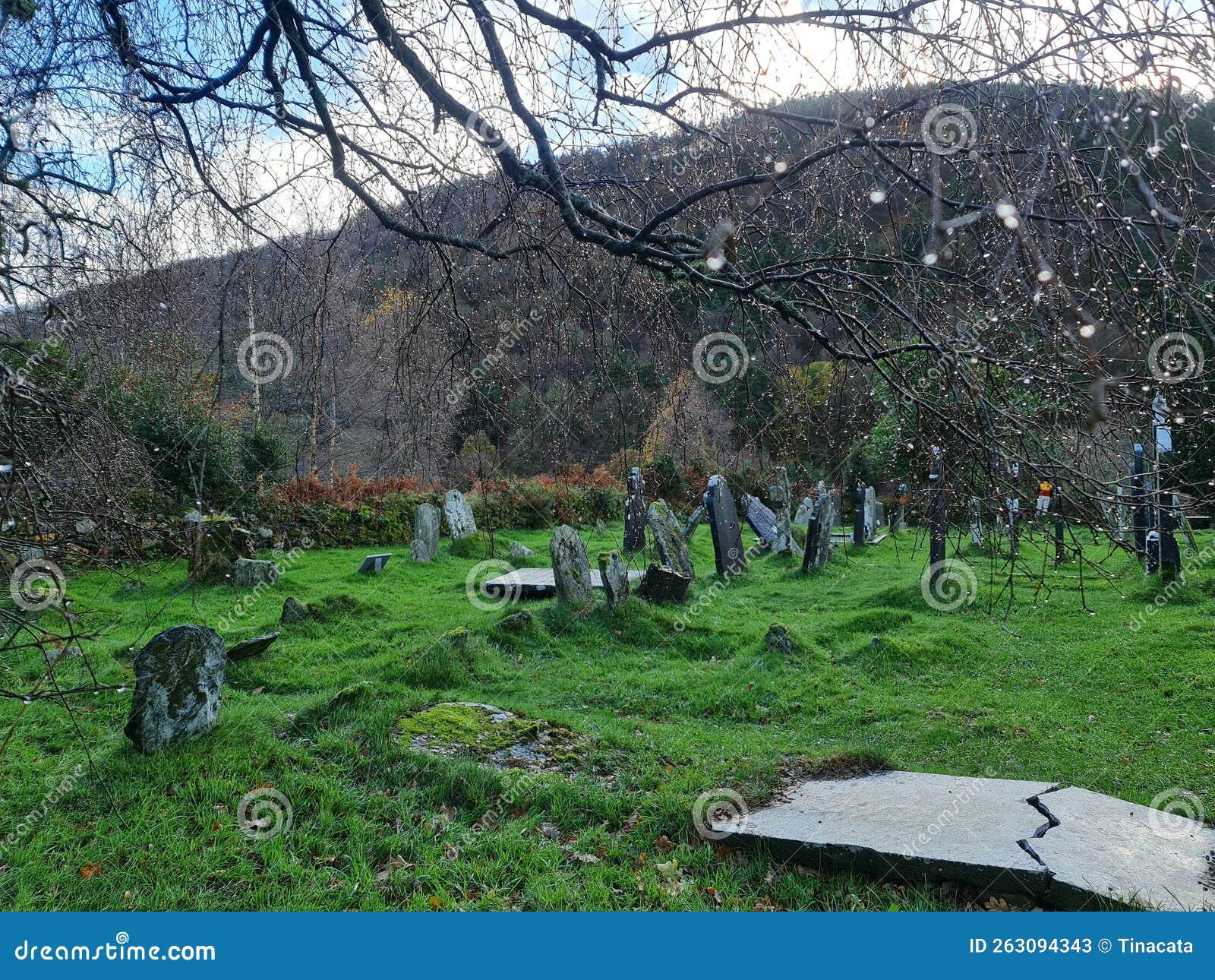 Glendalough Cemetery and Forest in Wicklow Mountains Ireland Editorial ...