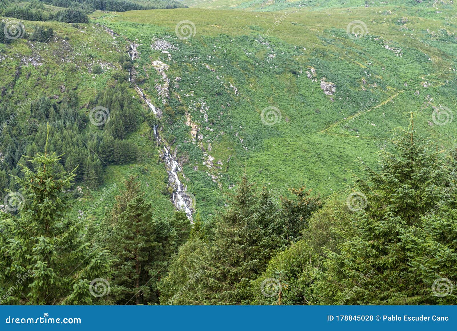 Glenmalure Waterfall Views in Wicklow Way Stock Photo - Image of forest ...