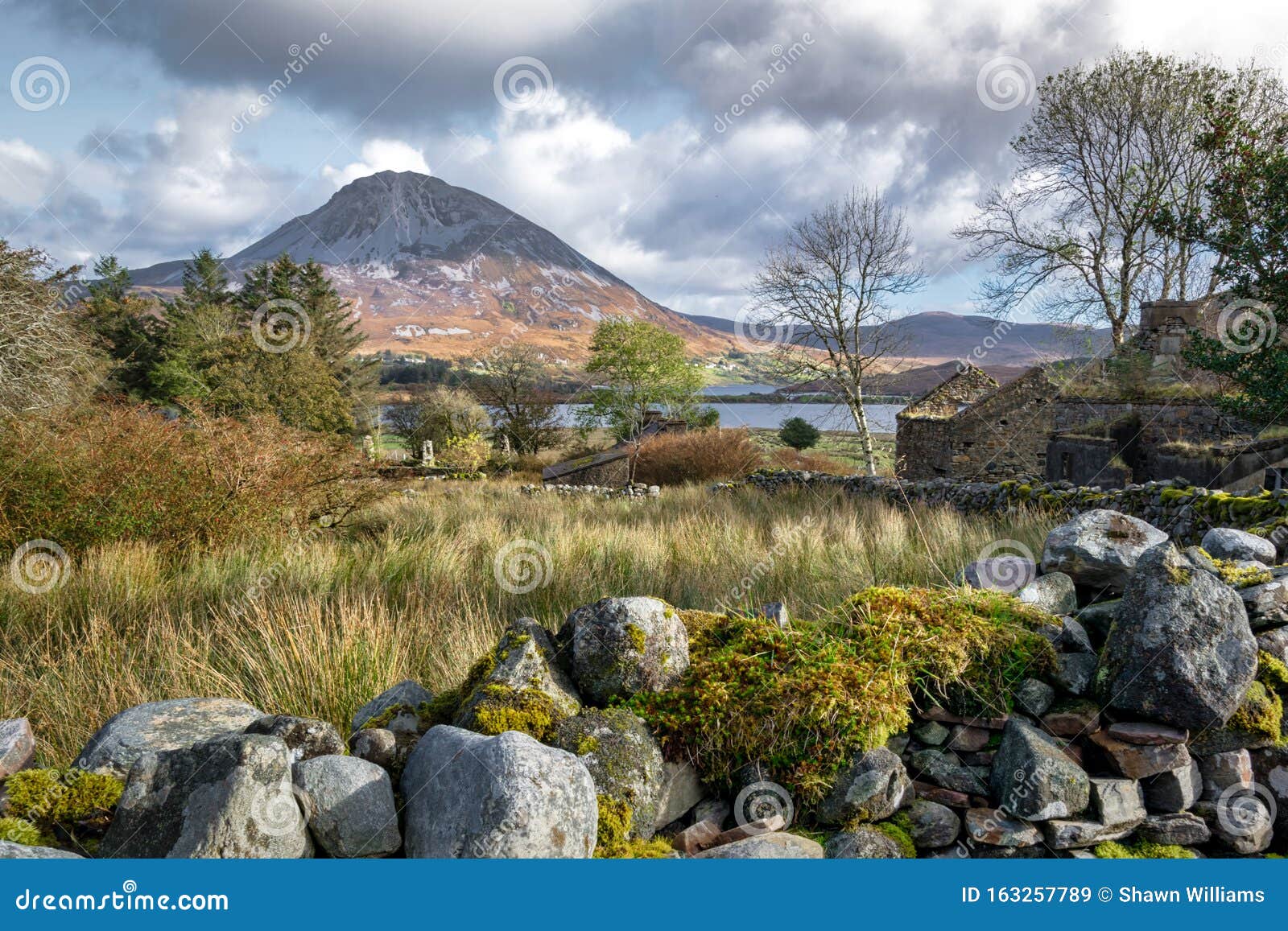 Picute Stock Photos - Free & Royalty-Free Stock Photos from Dreamstime