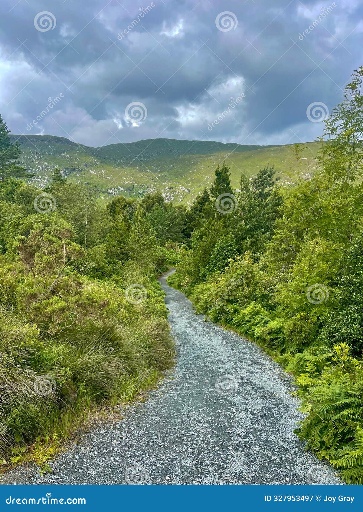 Glenveagh National Park Lakeside Path Stock Image - Image of ocean ...