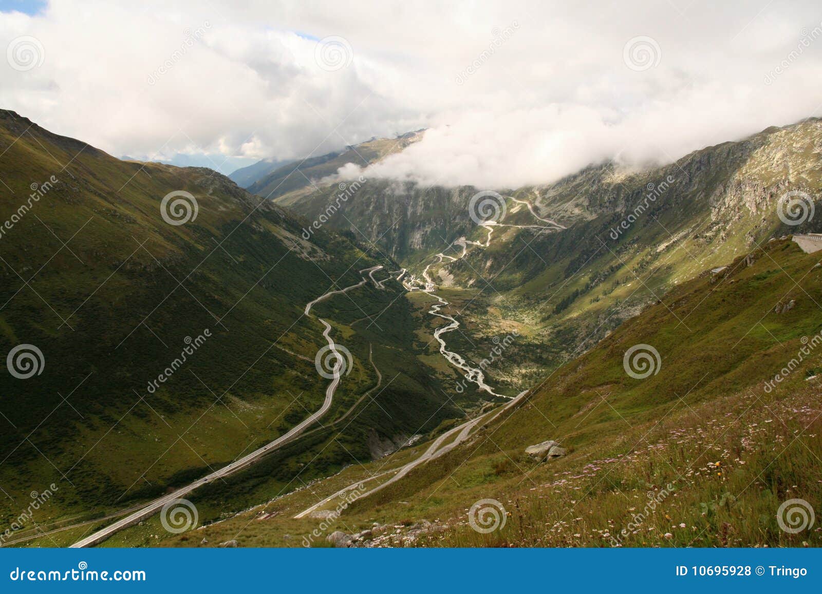 Gletsch Gorge, Alps, Switzerland Stock Photo - Image of curve, grass ...