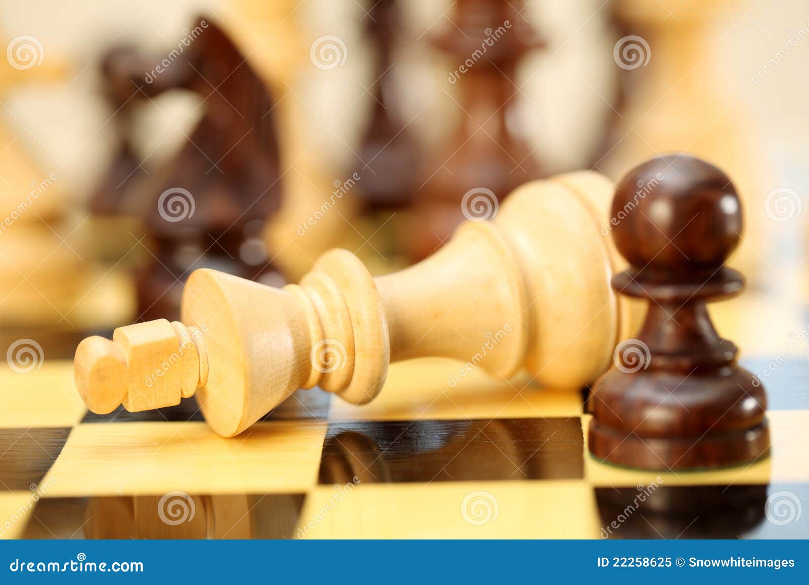 Gli Scacchi Gioco-Controllano Il Compagno Immagine Stock - Immagine di ...