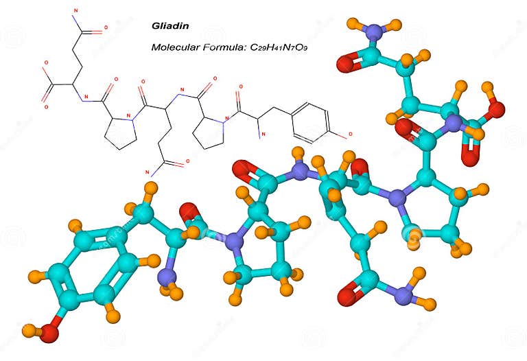 Gliadin Molecule, Component of Gluten Stock Illustration - Illustration ...