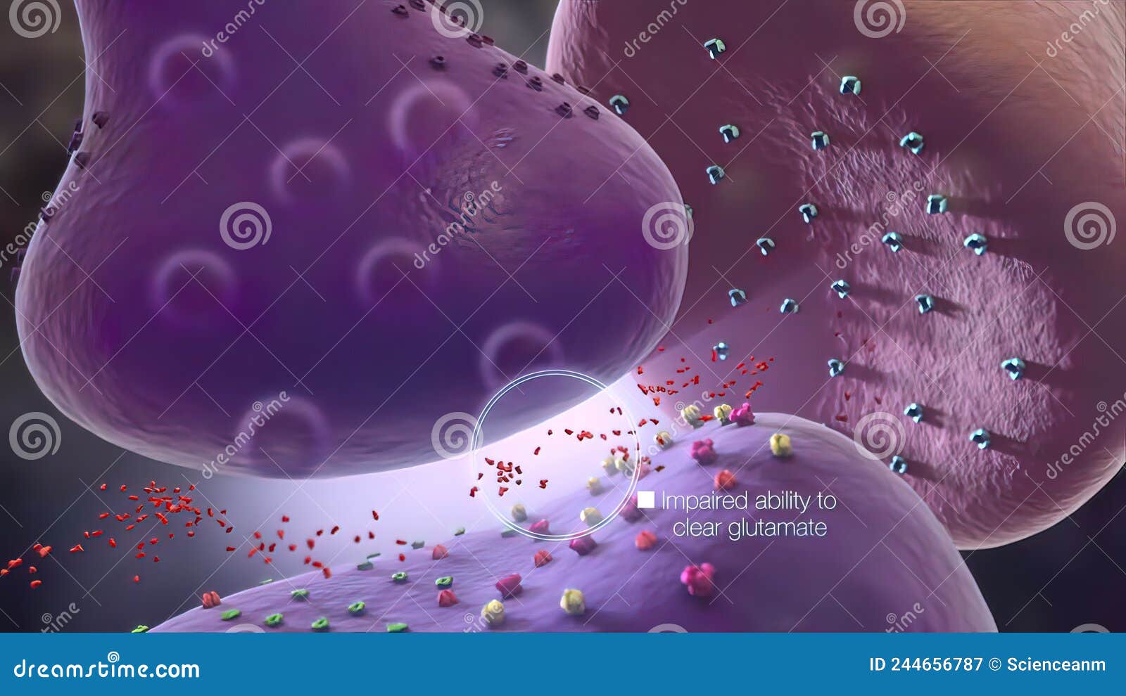 Neuronal Activities Stock Illustrations – 29 Neuronal Activities Stock ...