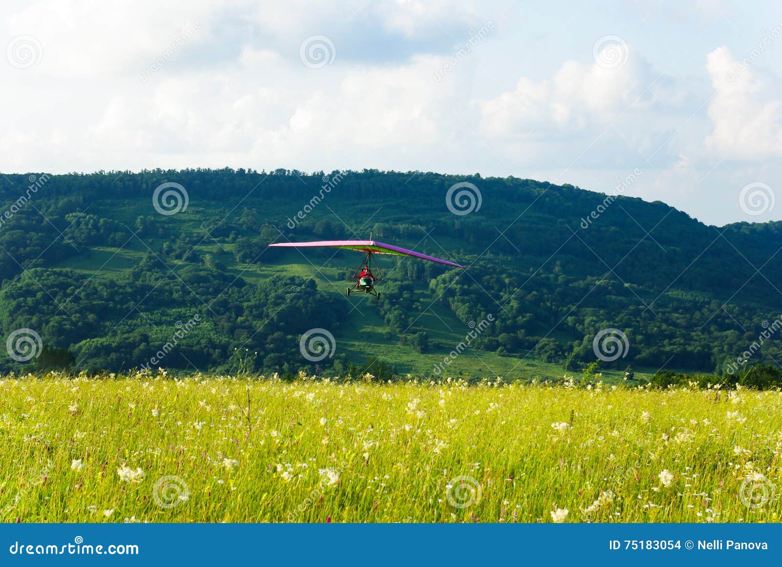 Glider Flying Over the Grass Stock Photo - Image of country, gilboa ...