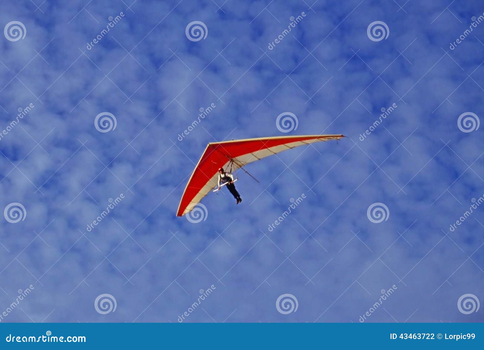 Glider editorial photography. Image of extreme, ocean - 43463722