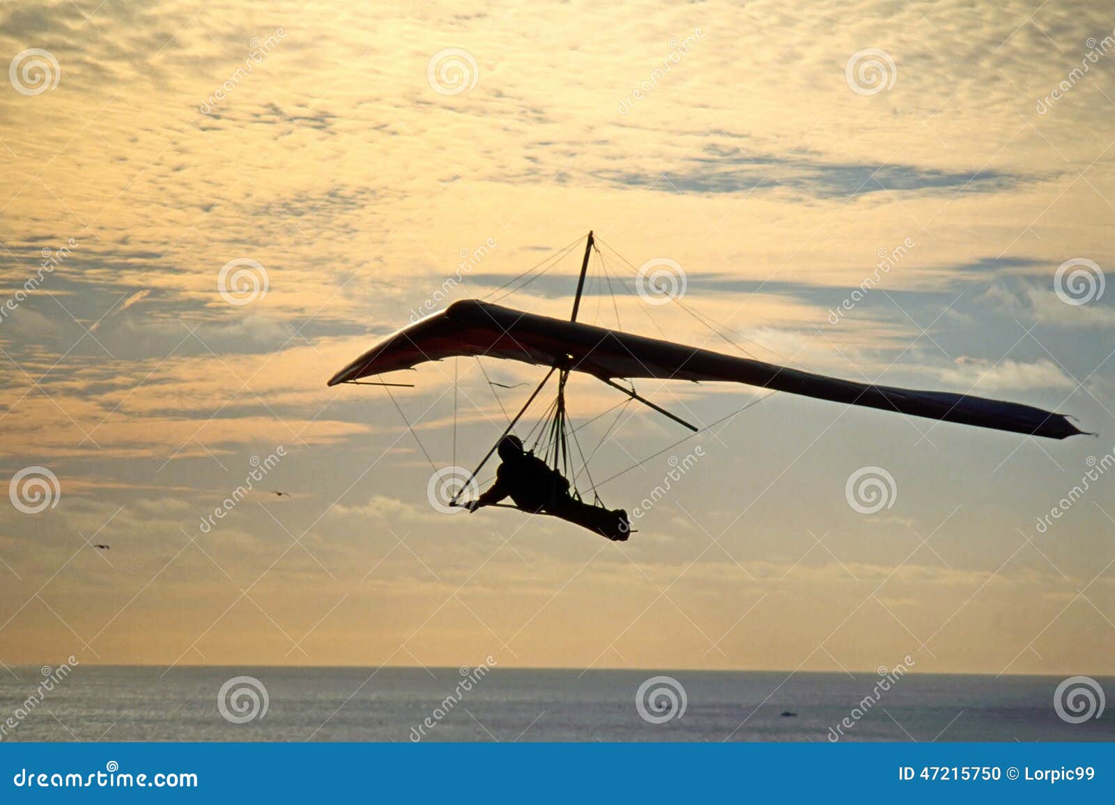Glider editorial image. Image of california, ocean, paraglider - 47215750